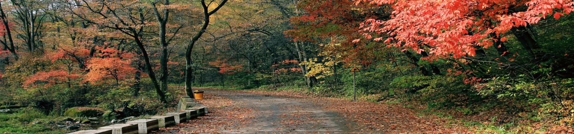 Harmony National Forest Park