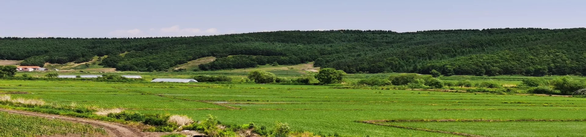 Shilongshan Forest Park