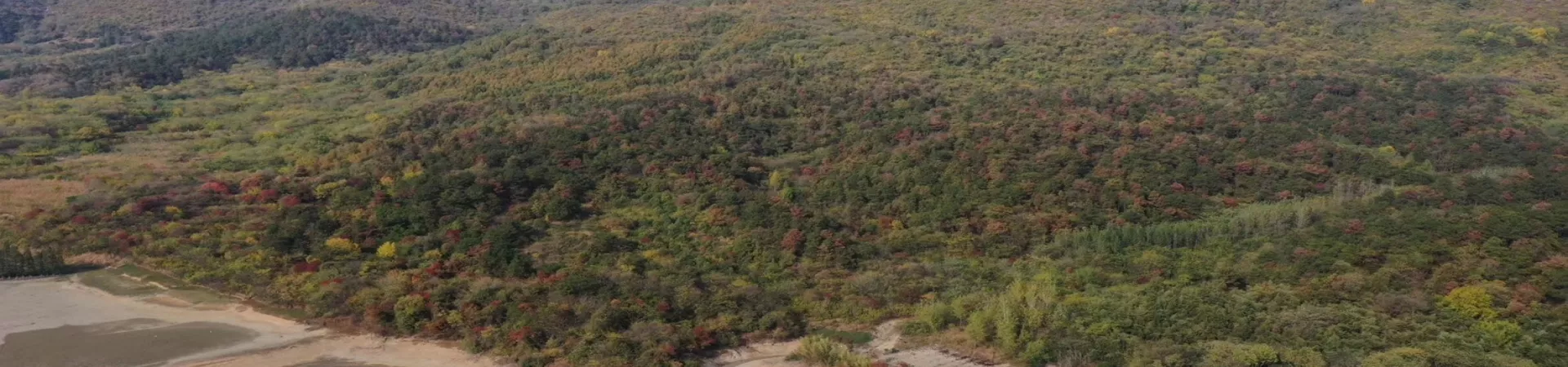 Xidaquan Forest Park