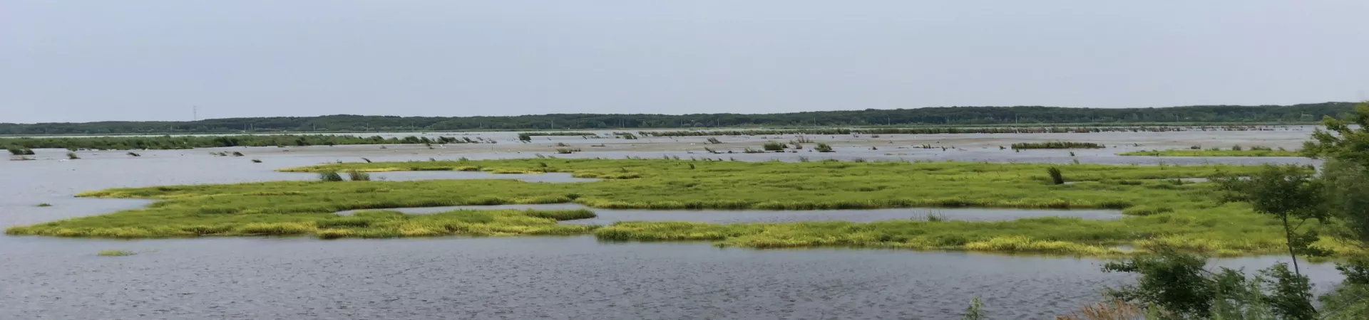 Xingkai Lake Tourist Resort