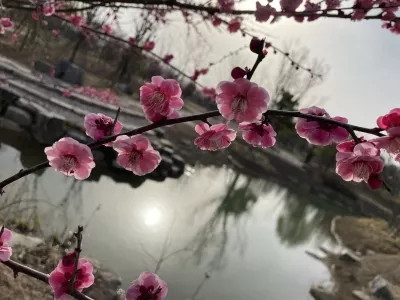 Fuyang Travel Guide: Unveiling Hidden Delights with TopChinaGuide