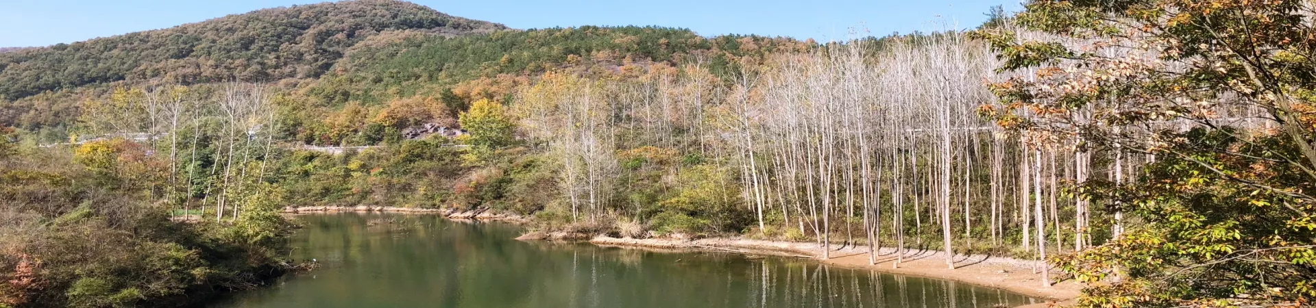 Jingmen Travel Guide: Discover the Magic