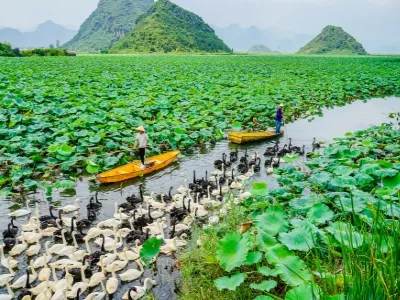 Yuxi Travel Guide: Explore Natural Beauty and Cultural Heritage in China